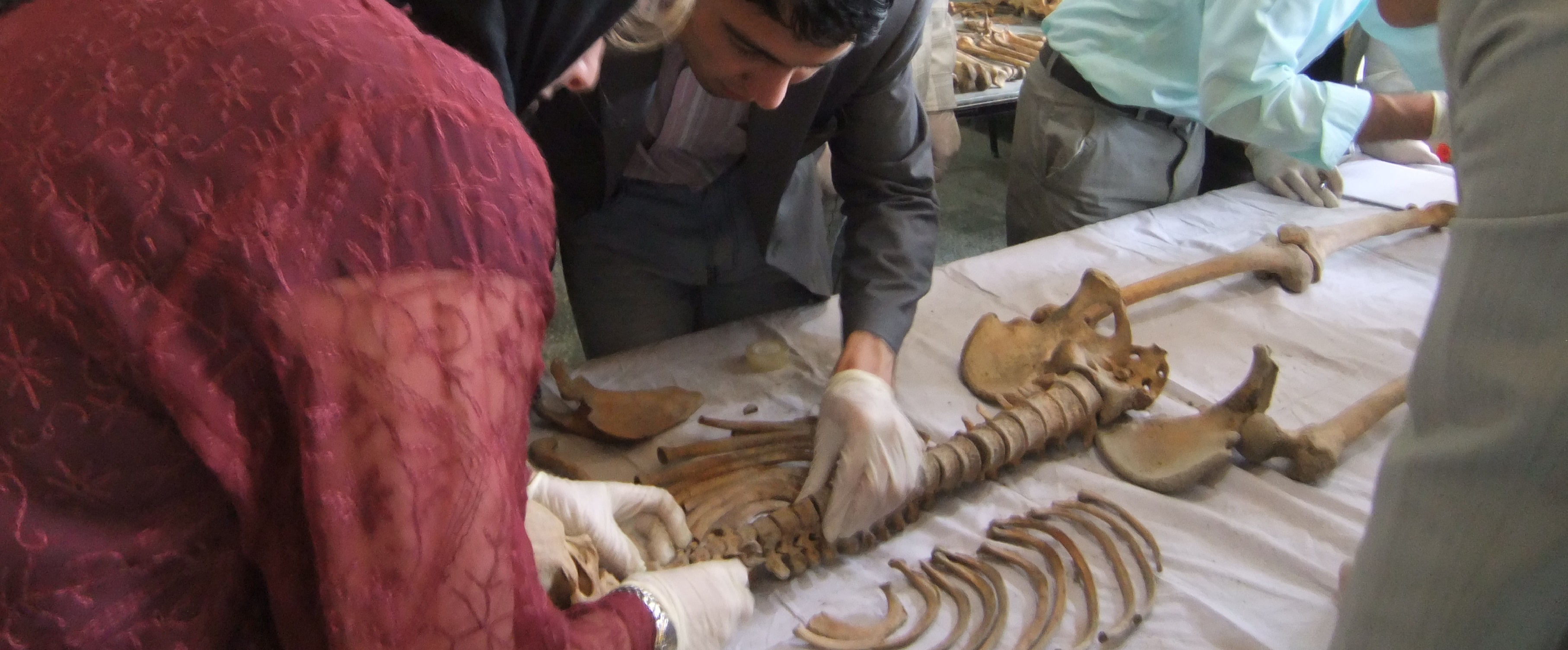 Killings/ Mass Atrocities - PHR