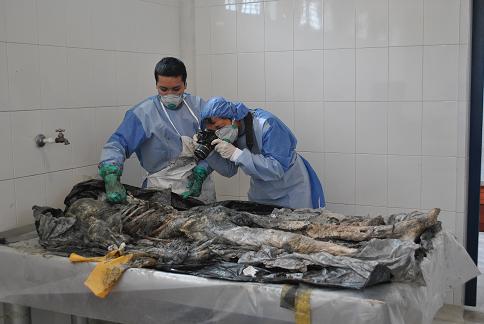 Investigations in Colombia - PHR